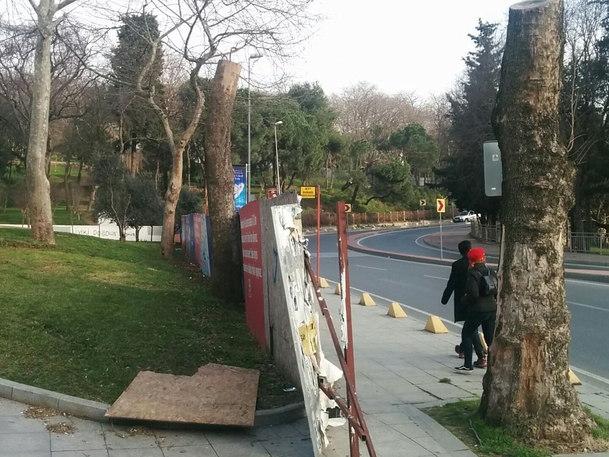 Maçka Parkı’nda tünel projesine devam, ağaçlar tehdit altında